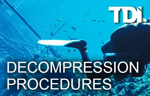 nzdiveschool - Technical